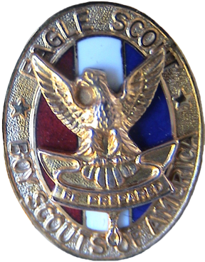 Eagle Scout Pins